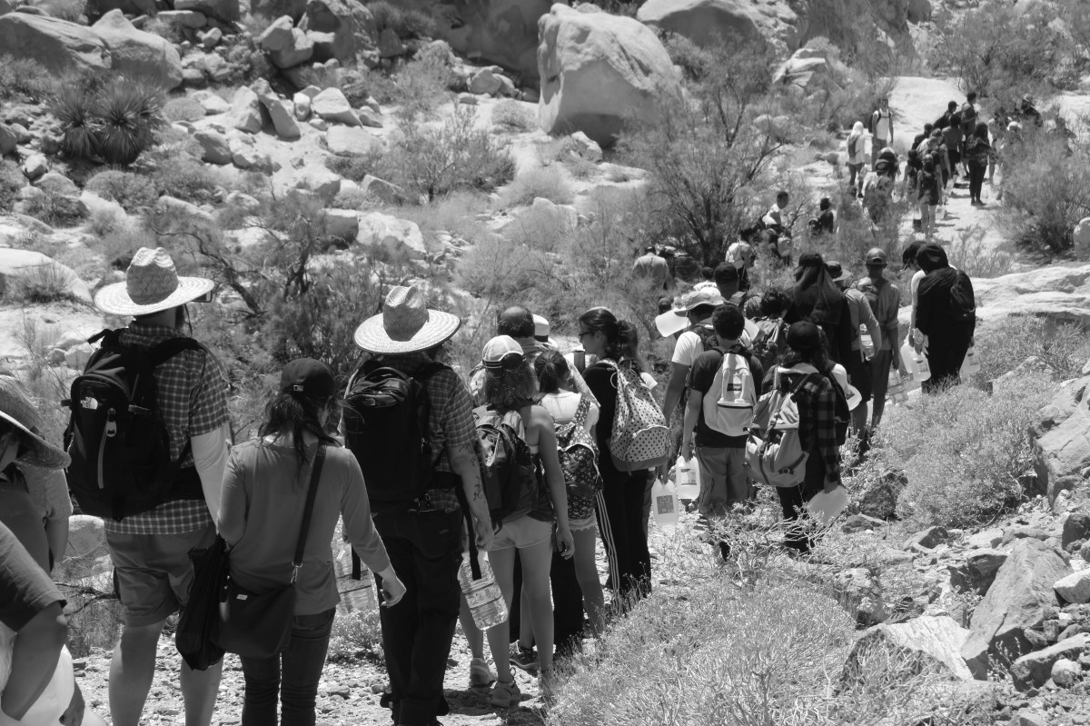 Desert Water Drop (Borderlands)II – Alma de Colibrí